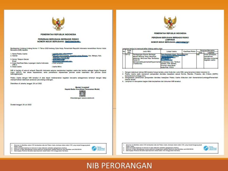 NIB - BIRO JASA NPWP 10 MENIT JADI